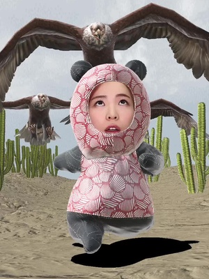 app.userVideo.meta.title | Exolyt